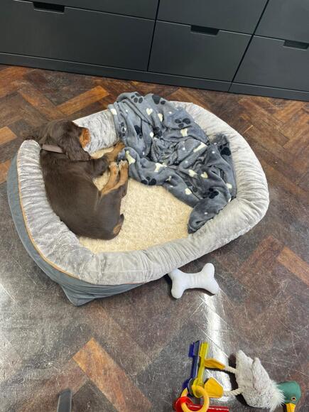 Oulton Academy Welcomes a New Member to our Team - News - Oulton Academy